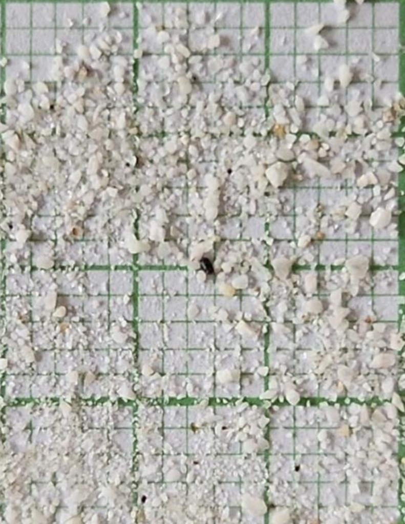 Feldespato - Silice y Derivados de Guatemala